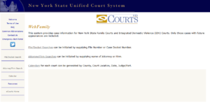 Queens County Family Court - Queens County Court